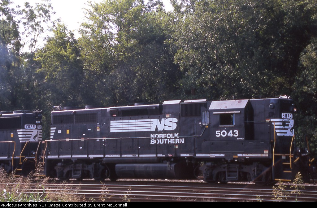 NS 5043